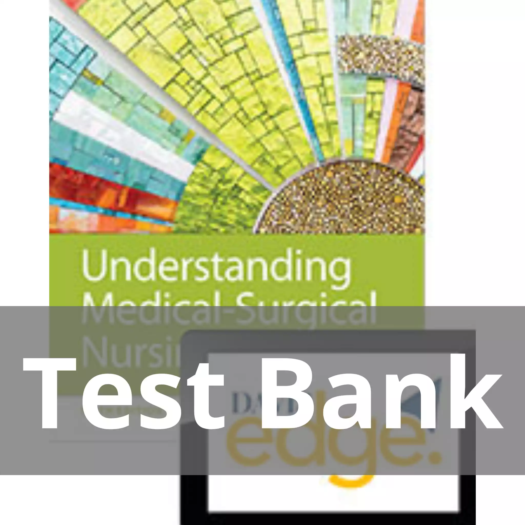 Understanding Medical-surgical Nursing 6th Edition Linda S. Williams ...